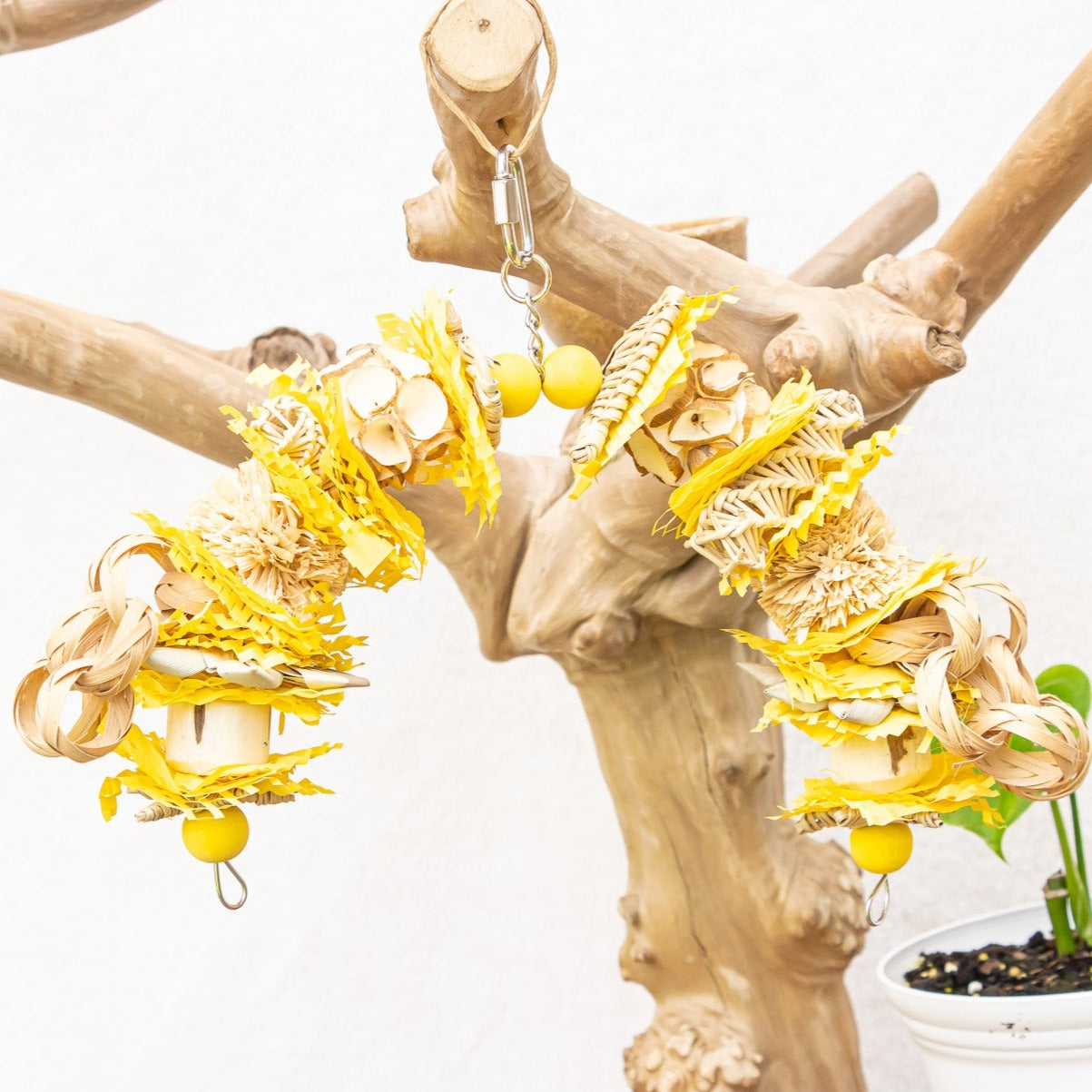 Pollinator - Bee Collection – Feather Beautiful